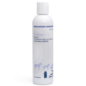Dog Shampoo for Itchy Skin: 6 Options to Try | Great Pet Care