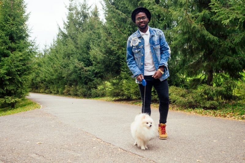 Preparing for Outdoor Activities With Your Pet - Great Pet Living