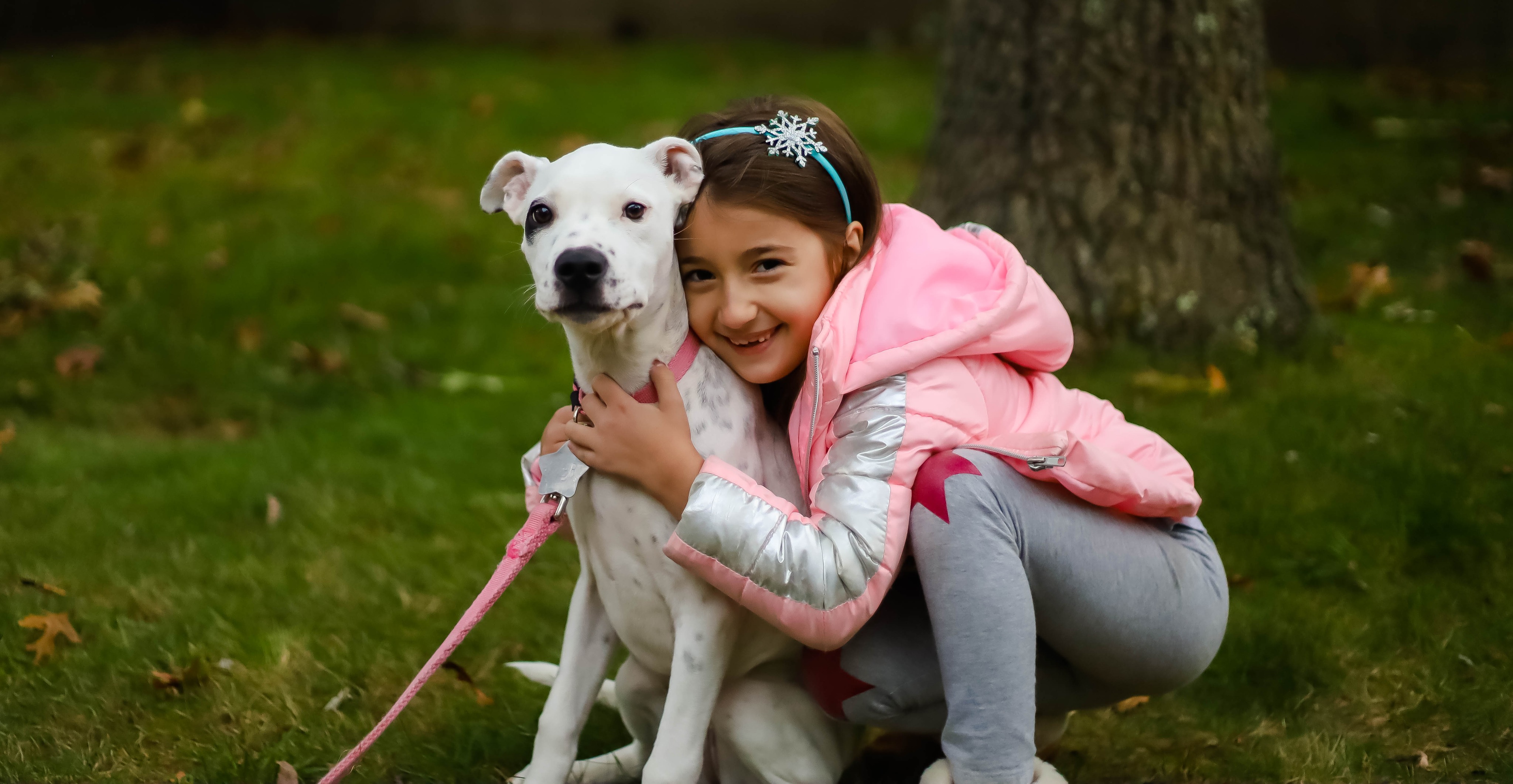 Foster Puppies 101: A How-To Guide for Foster Parents - Great Pet Living