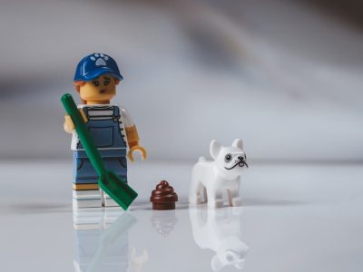 Dog Poop Clean Up: Surefire Methods To Try - Great Pet Living