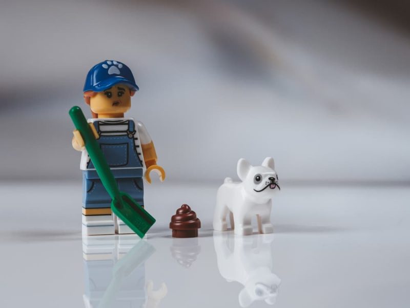 Dog Poop Clean Up: Surefire Methods To Try - Great Pet Living