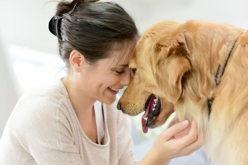 40 Best Dog Mom Quotes for Devoted Pet Parents - Great Pet Living