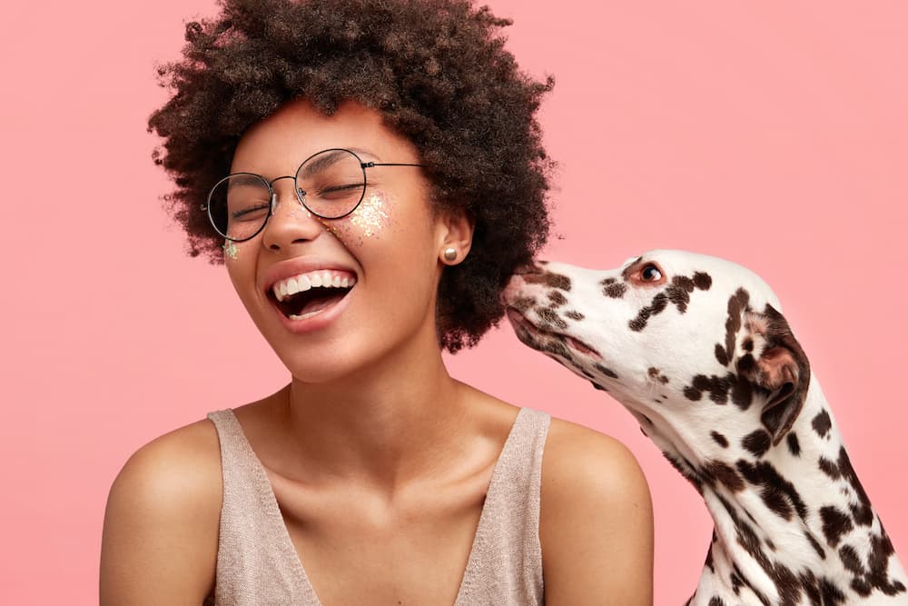 40 Best Dog Mom Quotes For Devoted Pet Parents Great Pet Living