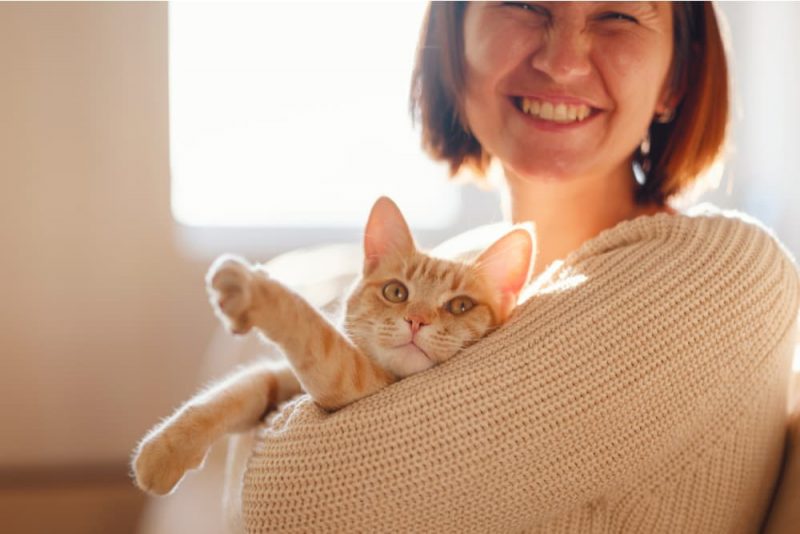 90 Best Cat Puns to Meow Over - Great Pet Living