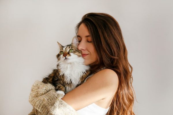 28 Loss of a Cat Quotes to Commemorate Passed Pets - Great Pet Living
