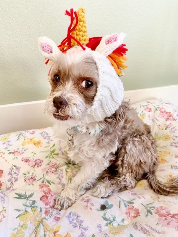 Dog Side Eye: 23 Dogs Who Have Mastered the Shady Gaze - Great Pet Living