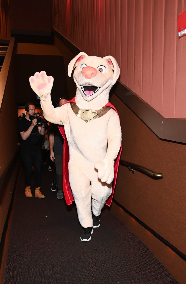 The Rock Changes Life of Family and Puppy at Movie Screening - Great ...