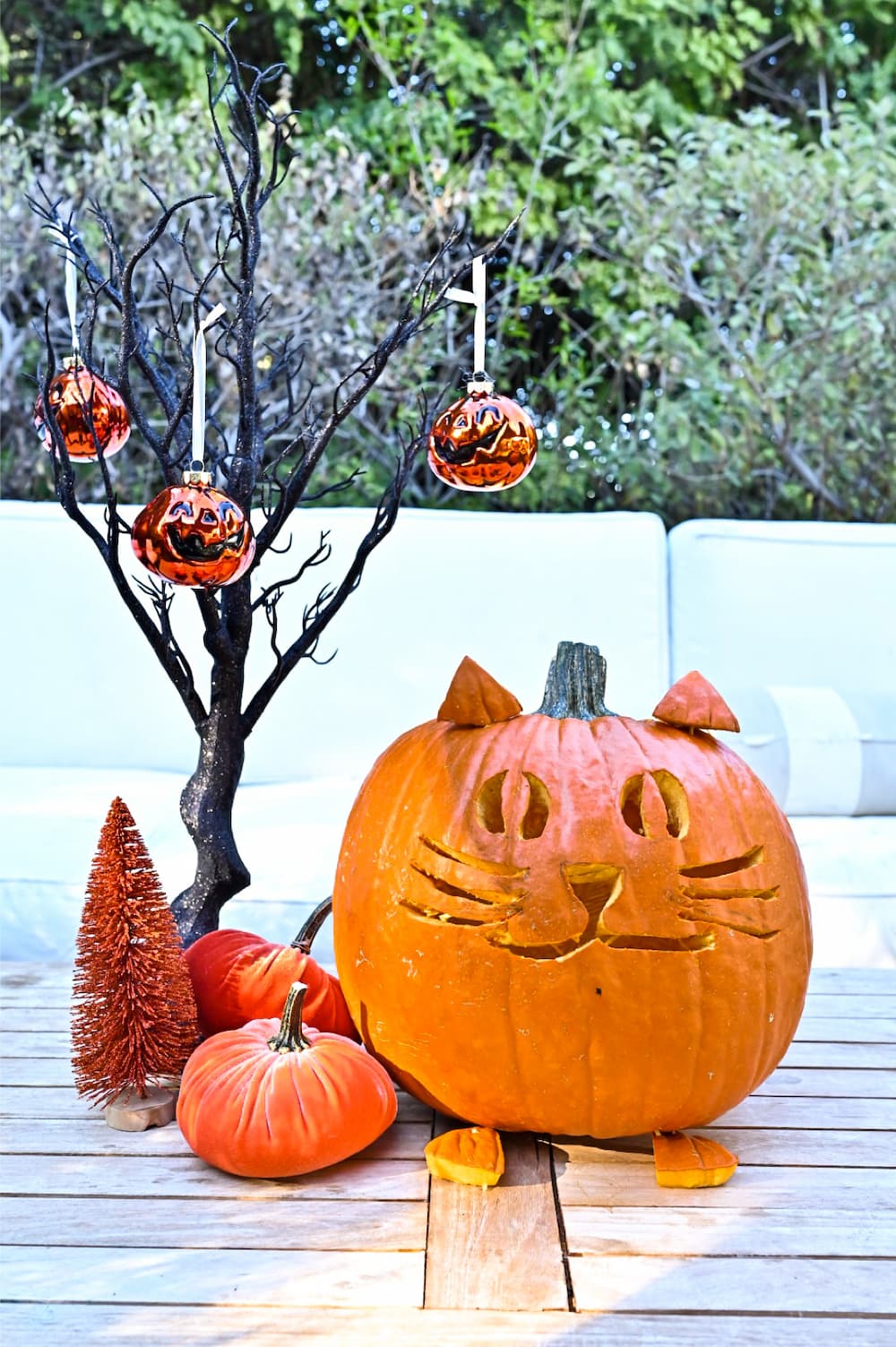 5 Cat Pumpkin Carving Ideas to Try at Home - Great Pet Living