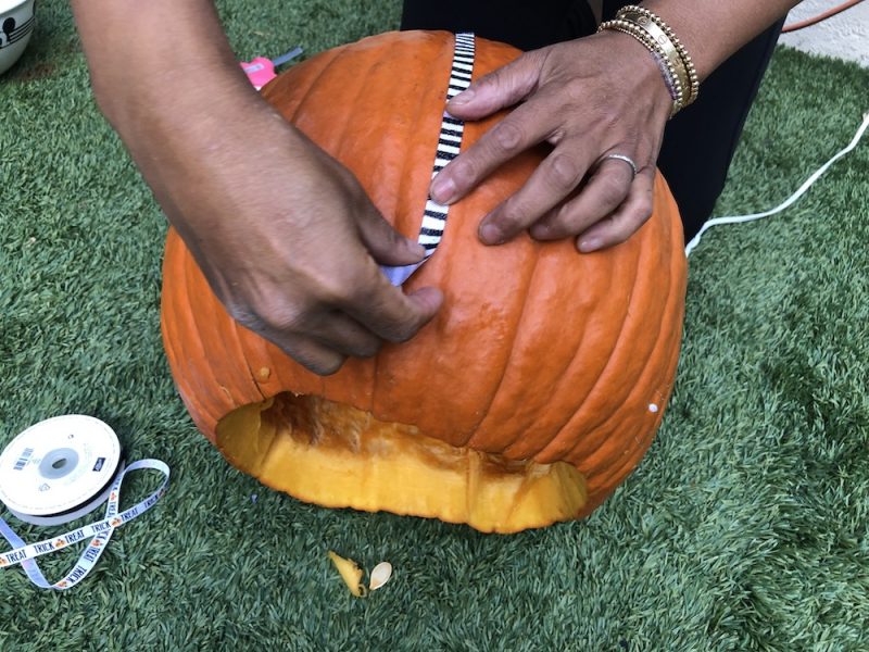 5 Cat Pumpkin Carving Ideas to Try at Home - Great Pet Living