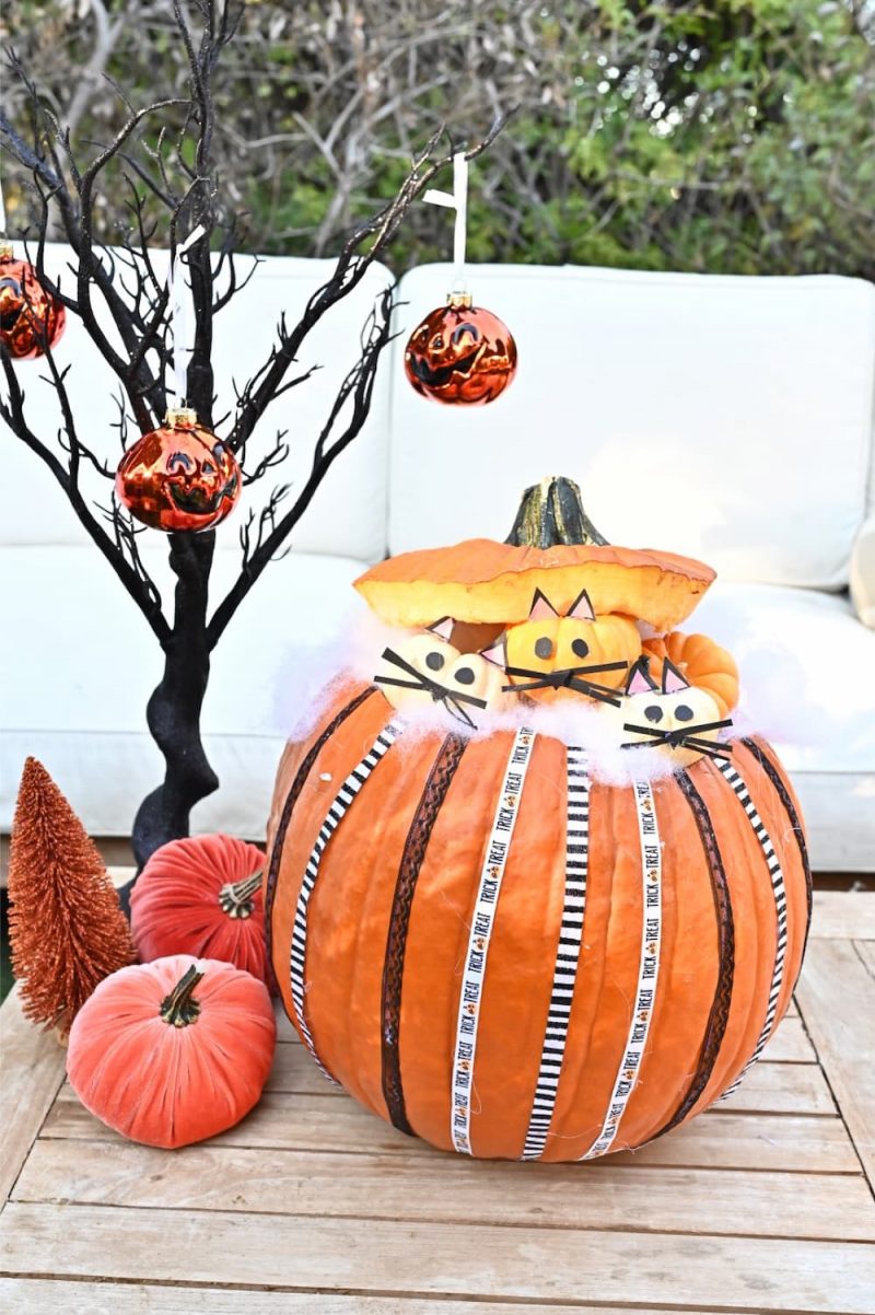 5 Cat Pumpkin Carving Ideas to Try at Home - Great Pet Living