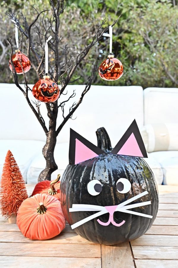 5 Cat Pumpkin Carving Ideas to Try at Home - Great Pet Living