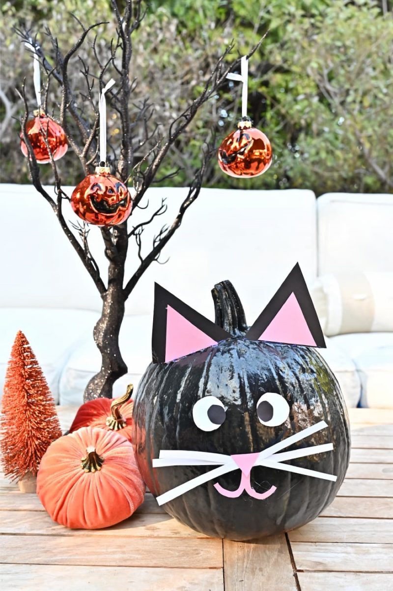 5 Cat Pumpkin Carving Ideas to Try at Home - Great Pet Living