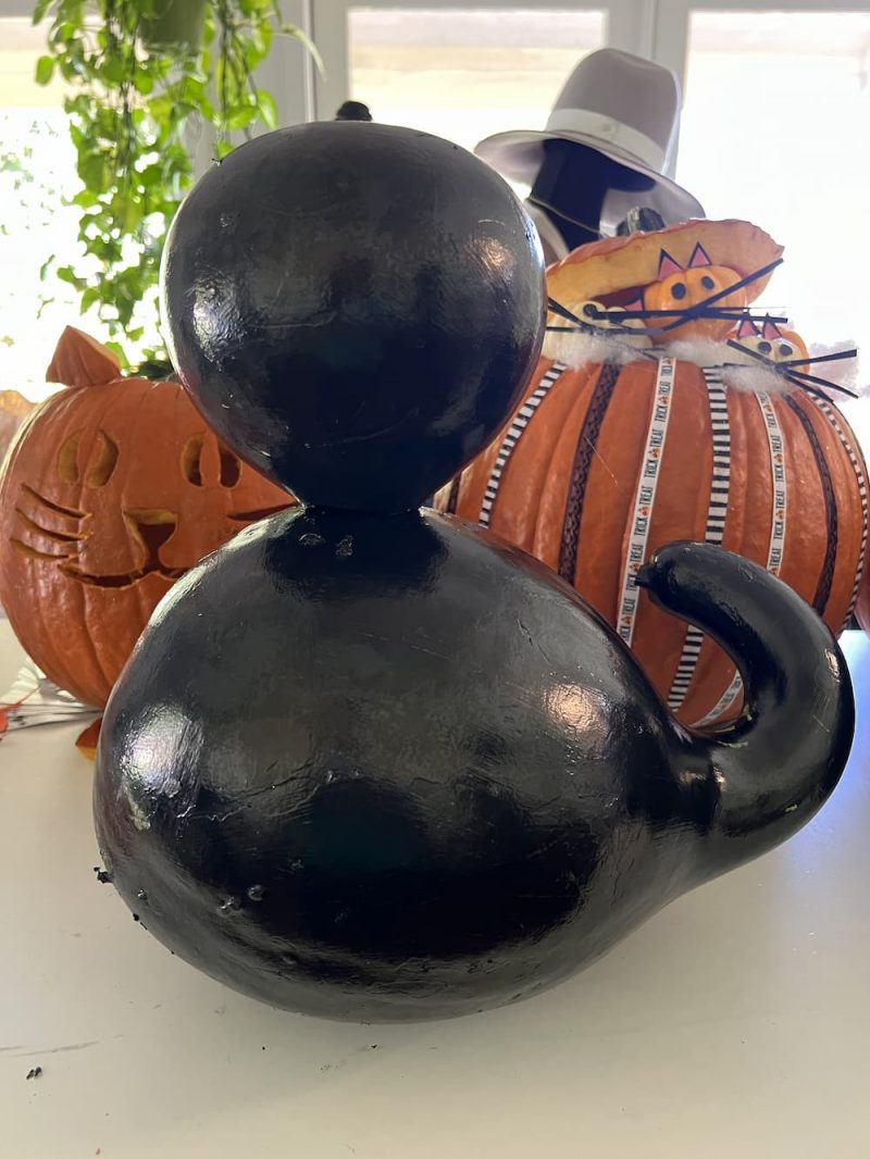 5 Cat Pumpkin Carving Ideas to Try at Home - Great Pet Living