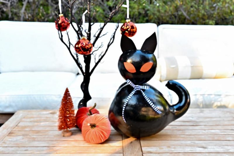 5 Cat Pumpkin Carving Ideas to Try at Home - Great Pet Living