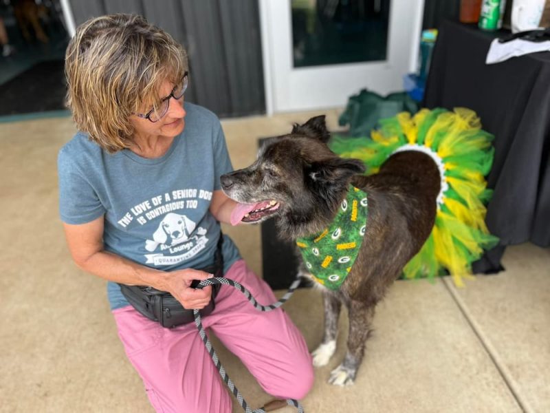 8 Best Senior Dog Rescues in the U.S. - Great Pet Living