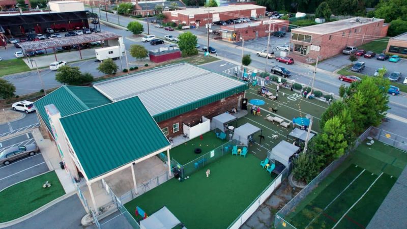 8 Best Indoor Dog Parks in the U.S. - Great Pet Living