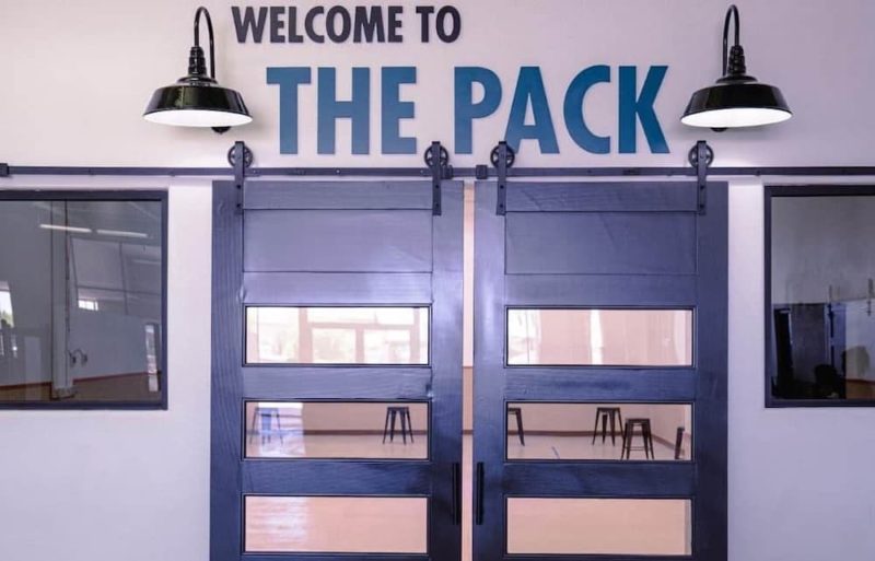 8 Best Indoor Dog Parks in the U.S. - Great Pet Living