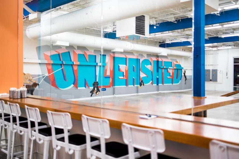 8 Best Indoor Dog Parks in the U.S. - Great Pet Living