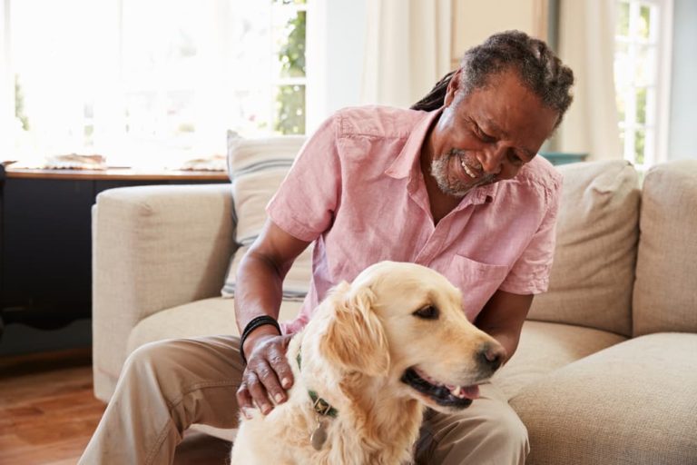 8 Best Senior Dog Rescues in the U.S. - Great Pet Living
