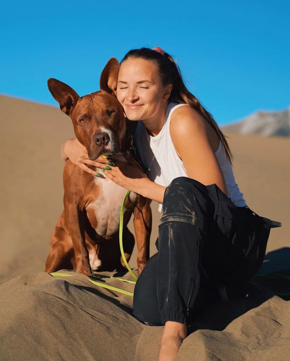 Unleashing the Power of Love: Pittie Mix Breaks Stereotypes and Rules ...