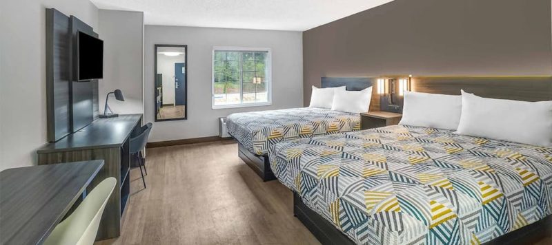 Best Cat-Friendly Hotels: 6 Chains That Cater to Felines - Great Pet Living
