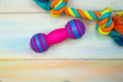 How to Wash Dog Toys: 7 Cleaning Tips - Great Pet Living
