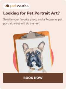 Why Are Cats So Cute? 10+ Adorable Reasons - Great Pet Living