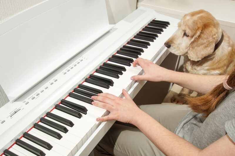 35 Songs About Dogs We Can’t Stop Singing - Great Pet Living
