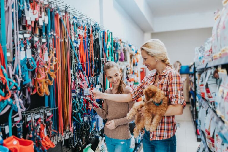 Happy Gotcha Day: 7 Ways to Celebrate Your Dog's Adoption - Great Pet ...