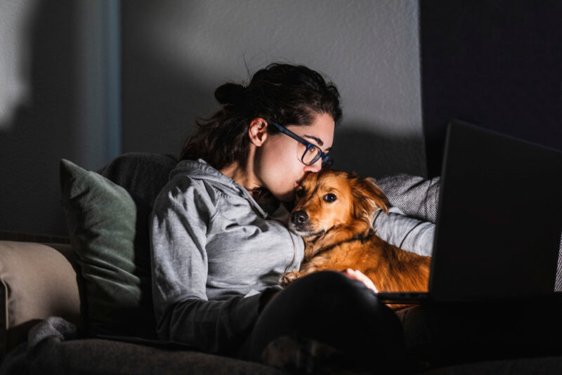 13 Sad Dog Movies When You Need a Good Cry - Great Pet Living