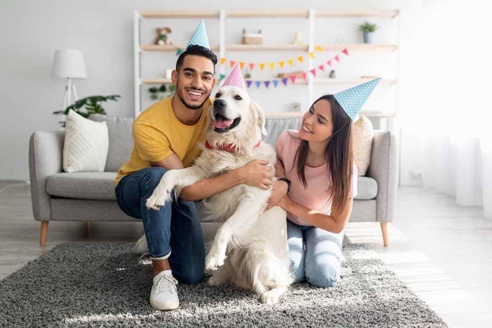 Happy Gotcha Day: 7 Ways to Celebrate Your Dog's Adoption - Great Pet ...