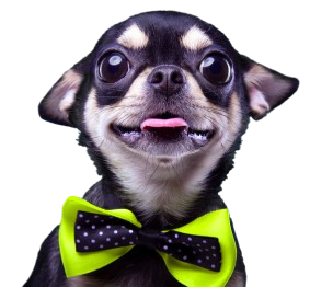 30 Dog Best Friend Quotes to Celebrate Your Bond - Great Pet Living